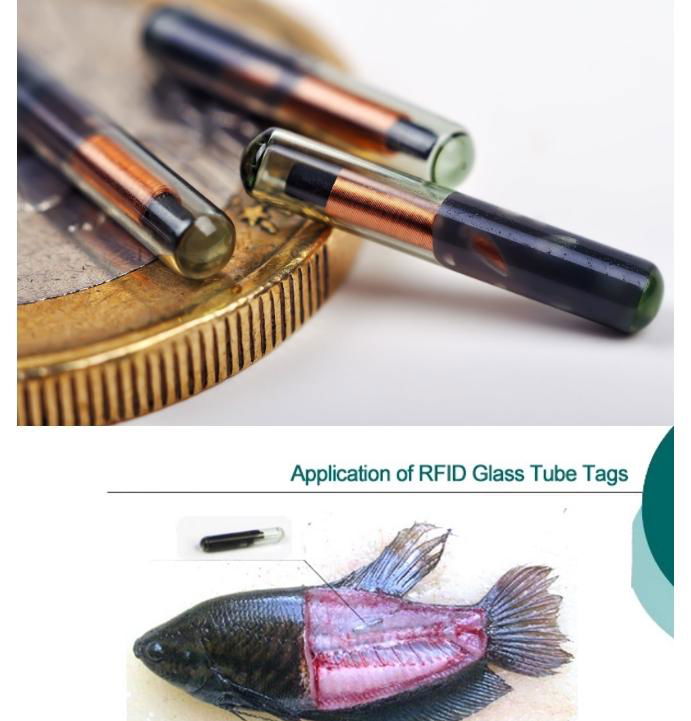 Animal Pet Microchip Rfid Pet Microchip ISO11784/85 LF 134.2khz ...