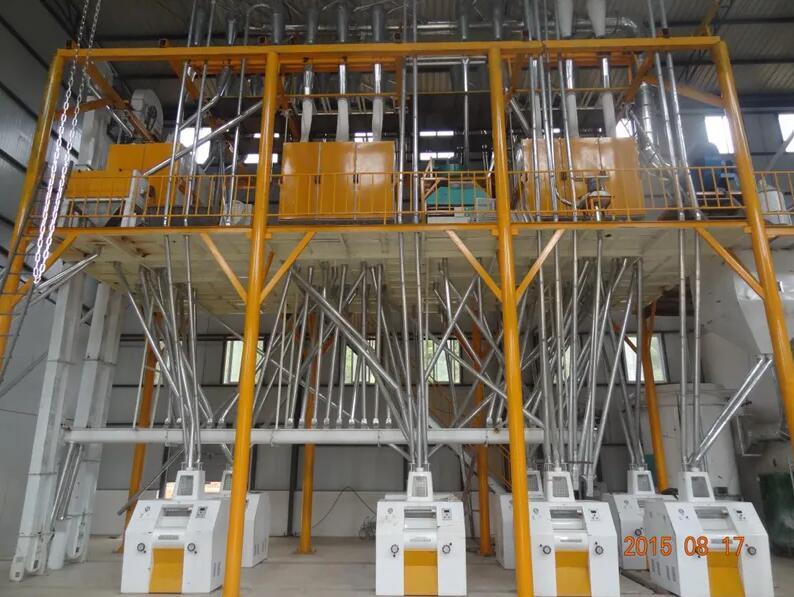 100TPD Steel Frame Wheat Flour Mill Plant (China Manufacturer) - Food ...