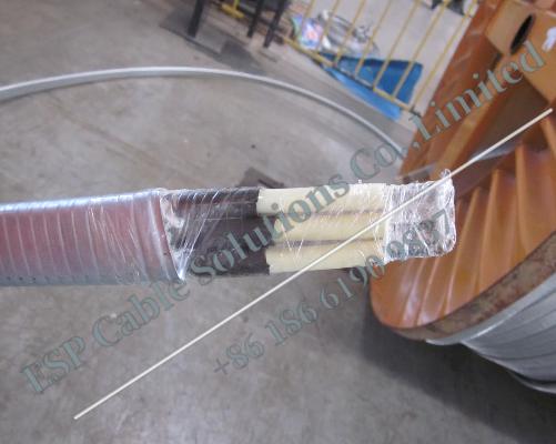 ESP Cable - QYEQ-5kV-2AWG - ESPCS (China Trading Company) - Electric ...