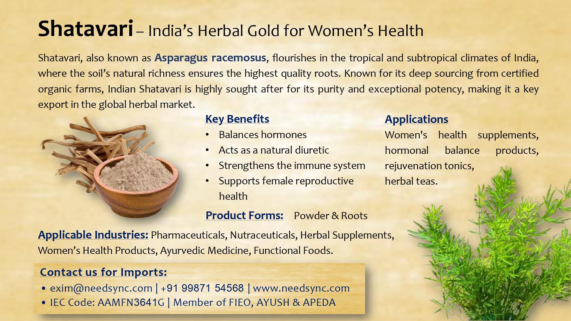 Shatavari Powder and Root - 005 - Needsync Solutions LLP (India ...