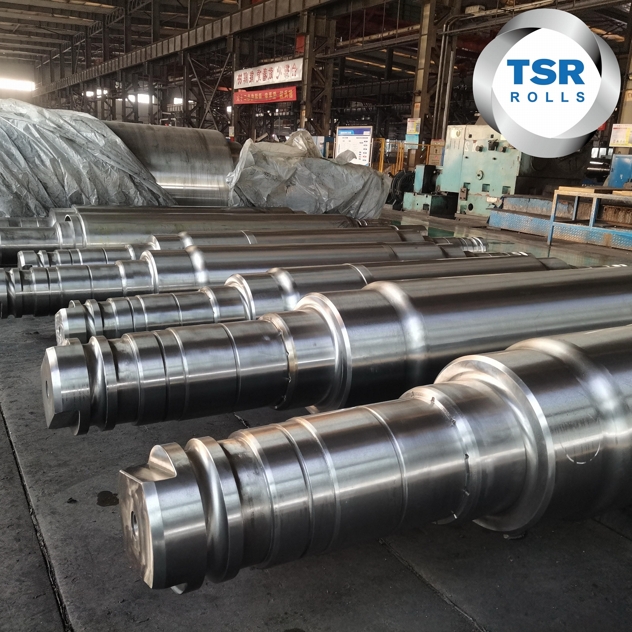 Customized Cast Steel/Iron Rolls for Hot Strip and Plate Mills - TSR ...