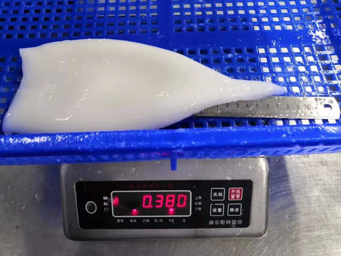 Giant Squid tubes (China Manufacturer) - Aquatic Products - Processed ...