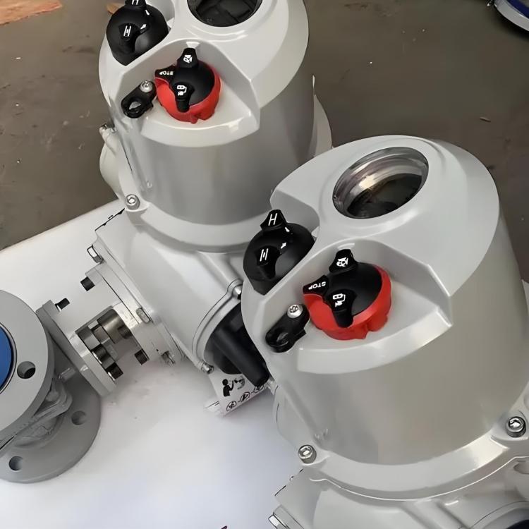 Rotork electric actuator angular travel IQT250 - IQT250F10A - rotork ...