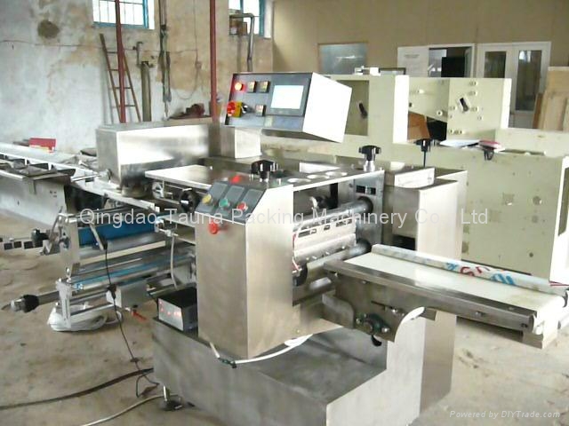 Stainless Steel flow packing machine - 450-590-720 - taunapack (China ...