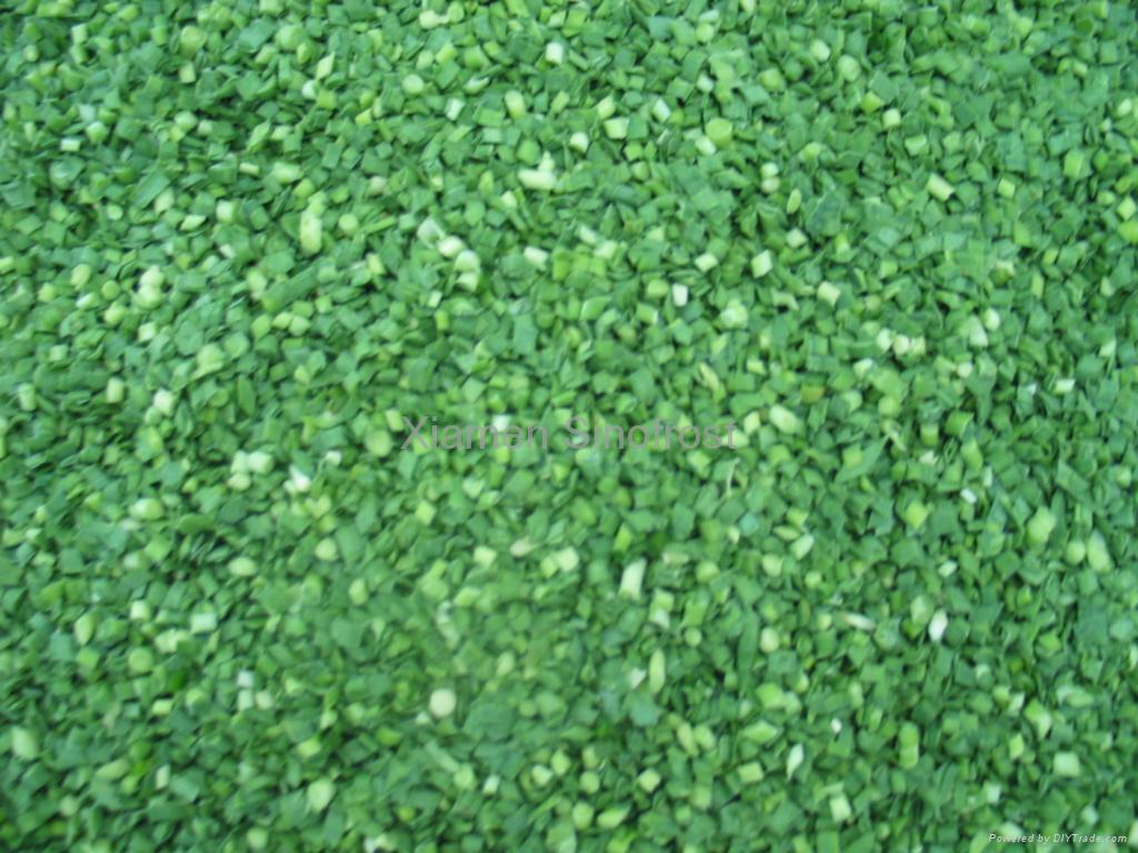 IQF Frozen Spring Onion Cuts,IQF Frozen Green Onions Dices,IQF Chives ...