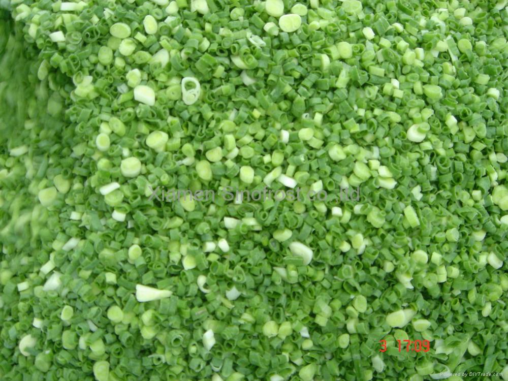IQF Frozen Spring Onion Cuts,IQF Frozen Green Onions Dices,IQF Chives ...