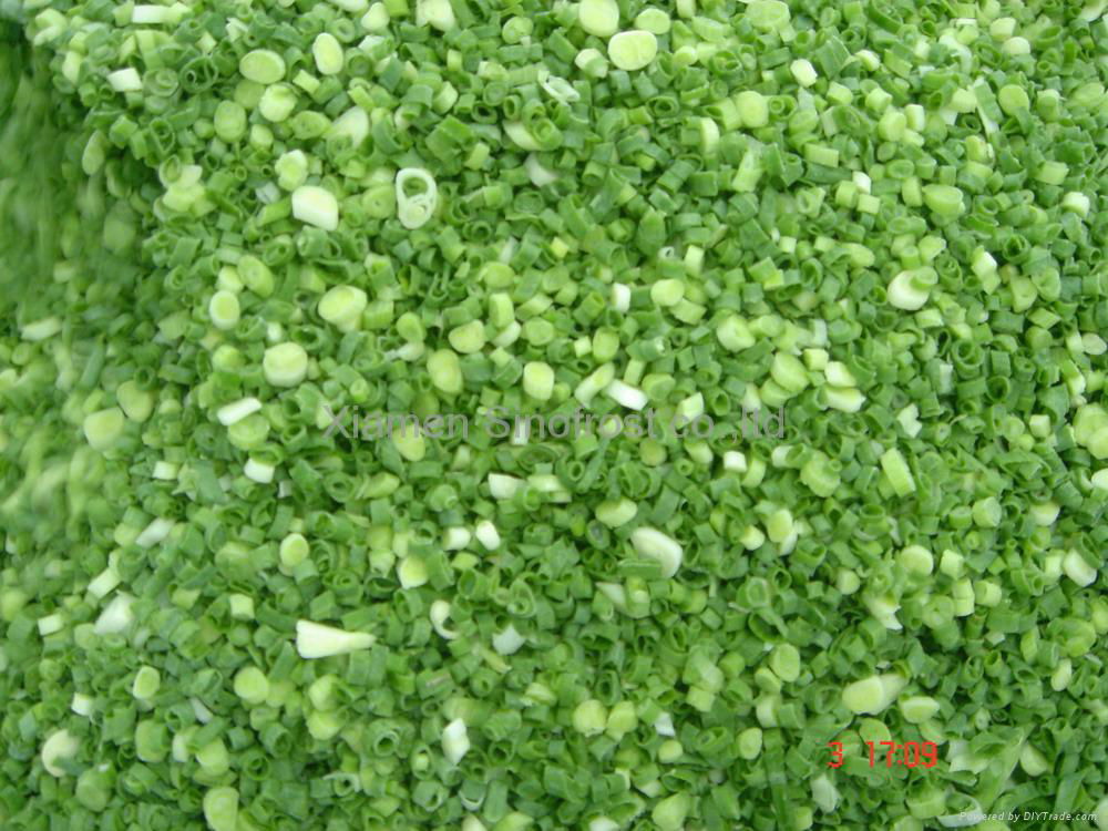 IQF Spring Onion Slices,Frozen Chives Dices,IQF Green Onions Dices ...
