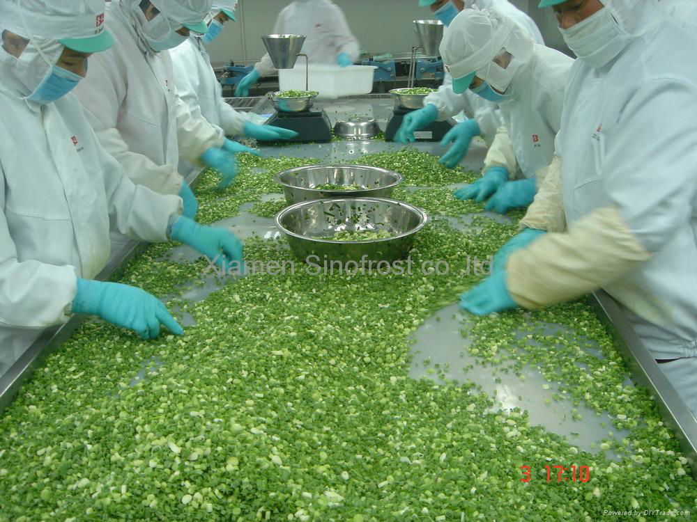 IQF Spring Onion Slices,Frozen Chives Dices,IQF Green Onions Dices ...