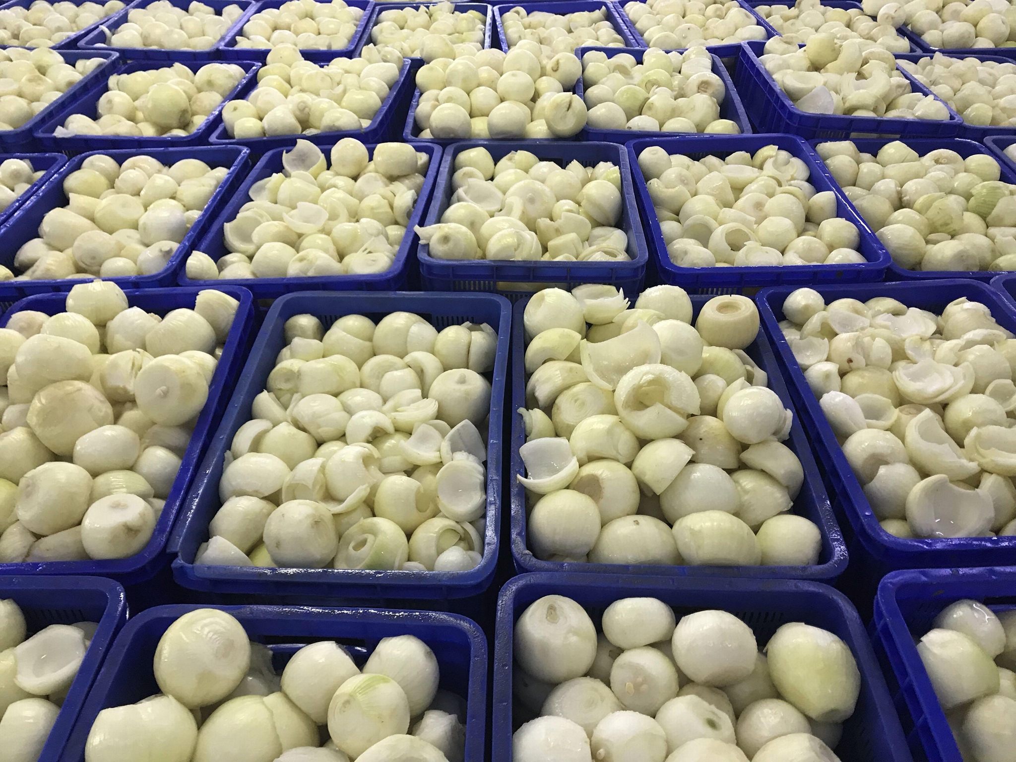 IQF Onions Rings,Frozen Onion Rings,IQF Onion Slices,IQF Sliced Onions ...