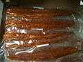 Frozen Roasted Conger Eel, Anago Kabayaki,Smoked Conger Eel - SINOFROST ...