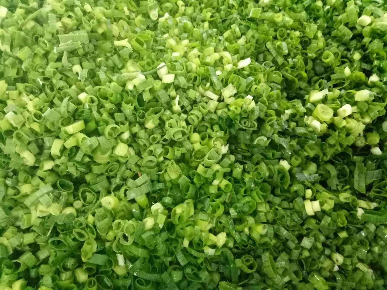 IQF Frozen Spring Onion Cuts,IQF Frozen Green Onions Dices,IQF Chives ...