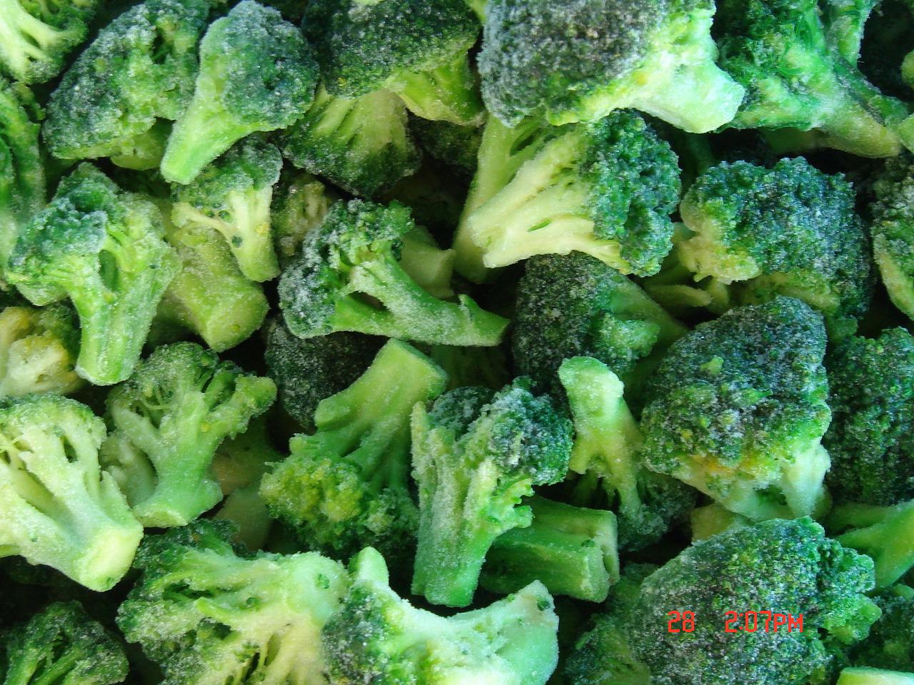 IQF Cut broccoli,Frozen Cut Broccoli,BQF broccoli spears - the buyer's ...