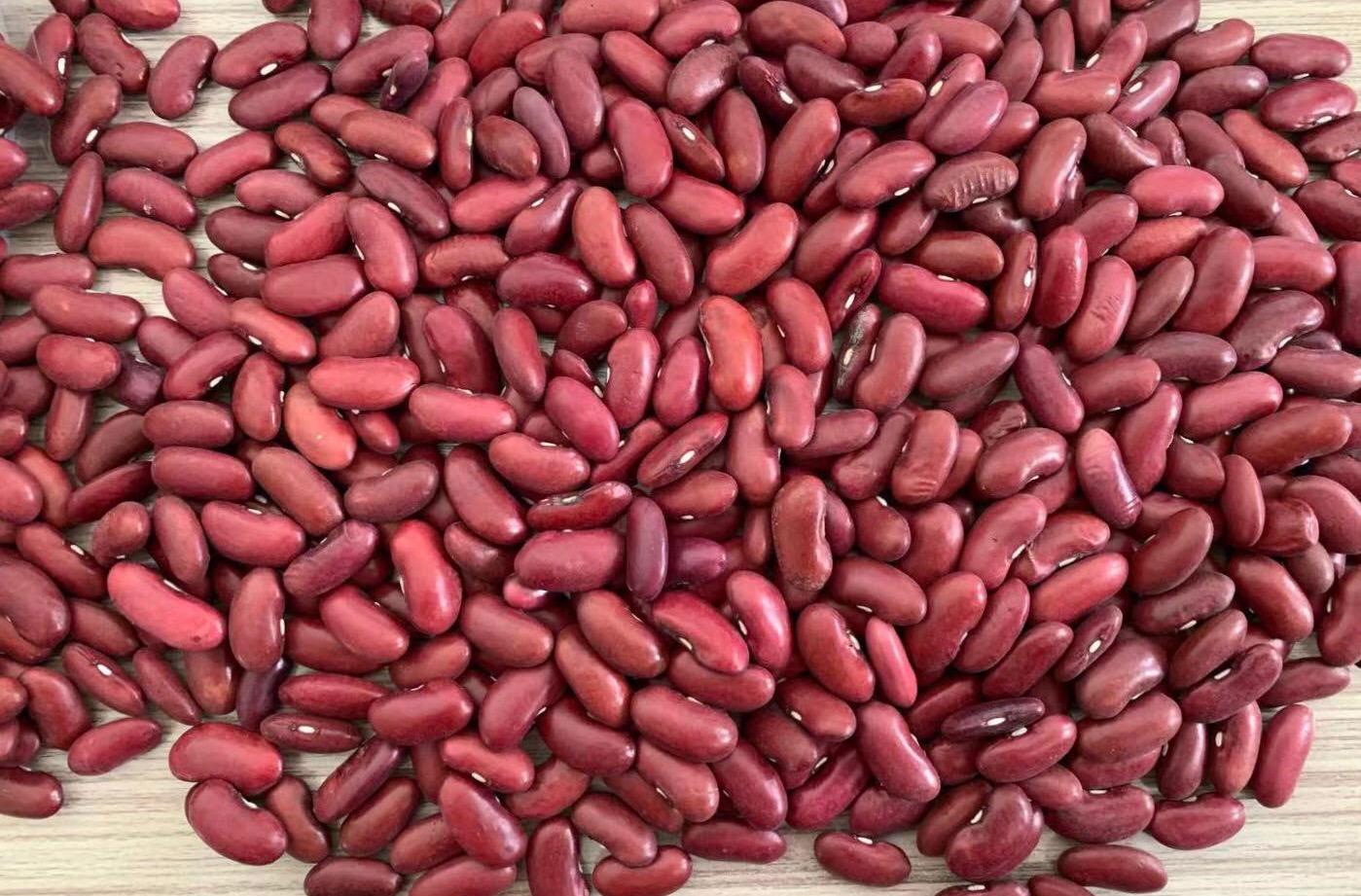 IQF Mixed Kidney Beans,Frozen Mixed Kidney Beans,cooked,ready to eat ...