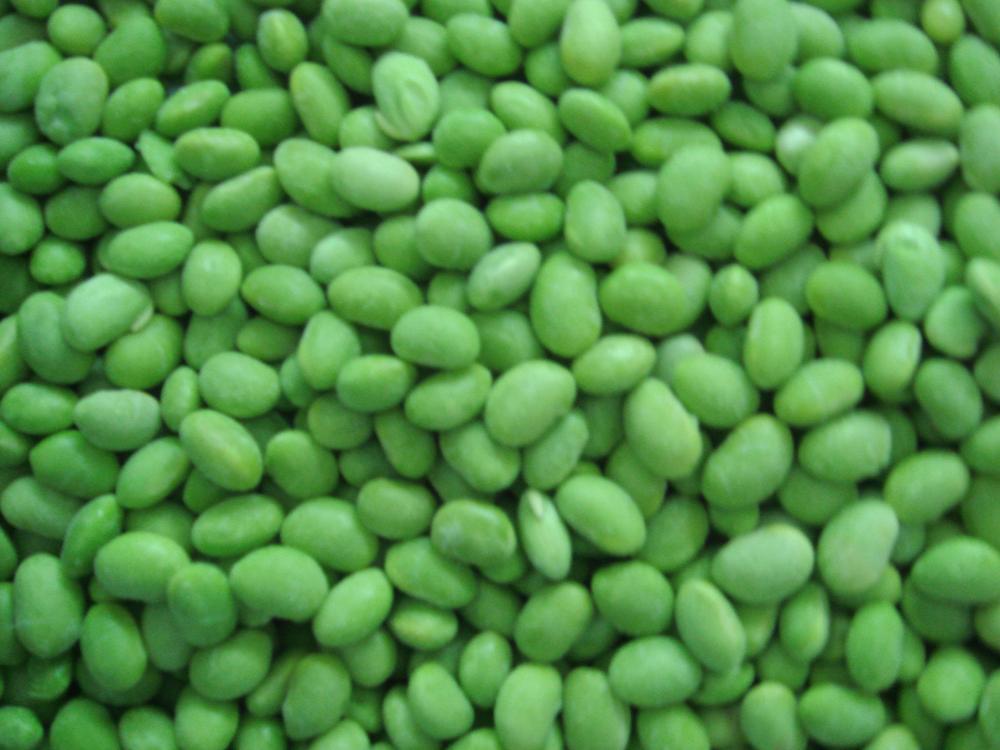 IQF Mukimame,IQF Shelled Edamame,IQF Green Soybean Kernels - SFFV-MKMM ...