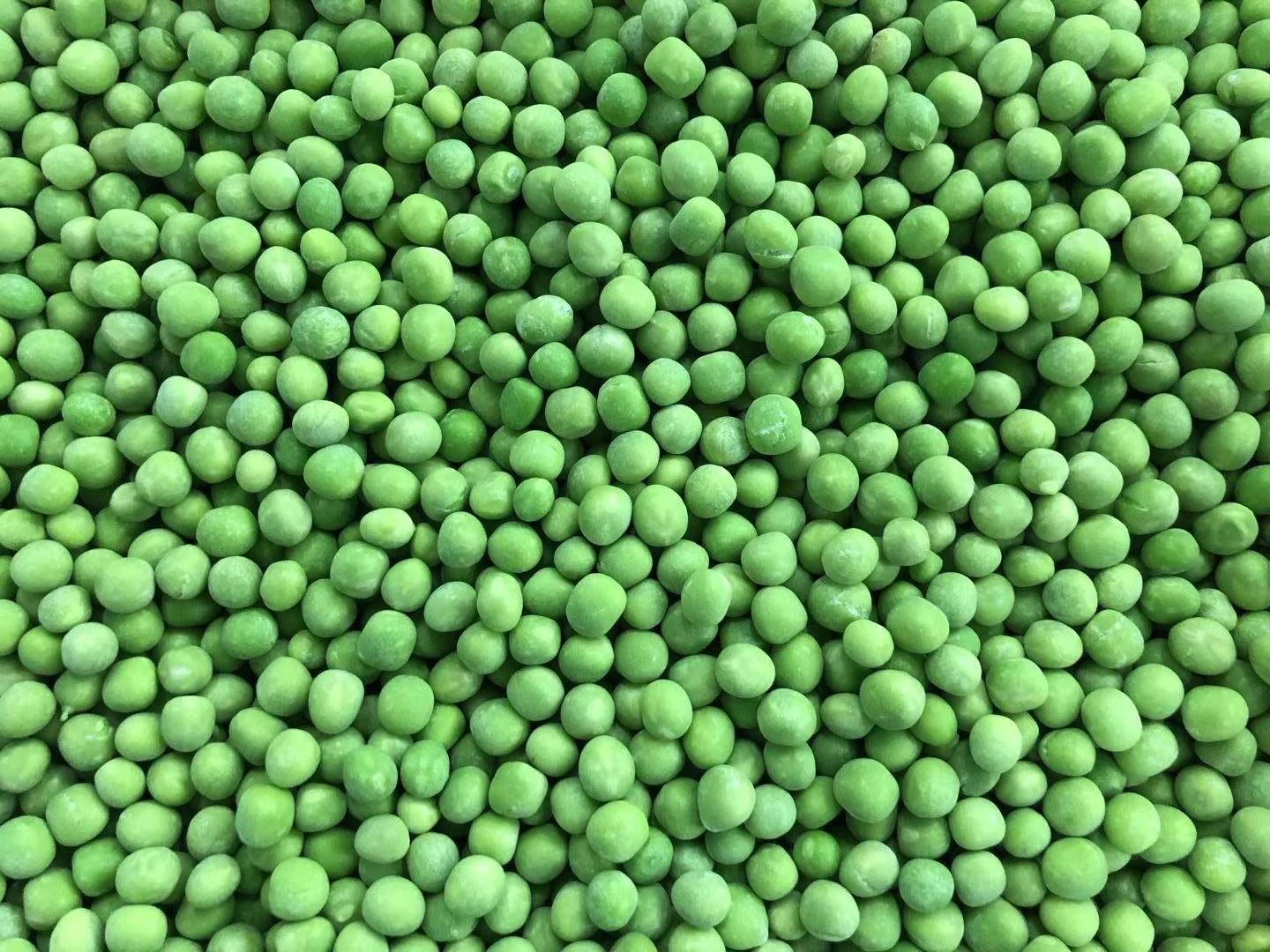 IQF Green Peas,Frozen Green Peas,IQF Frozen Green Peas - the buyer's ...