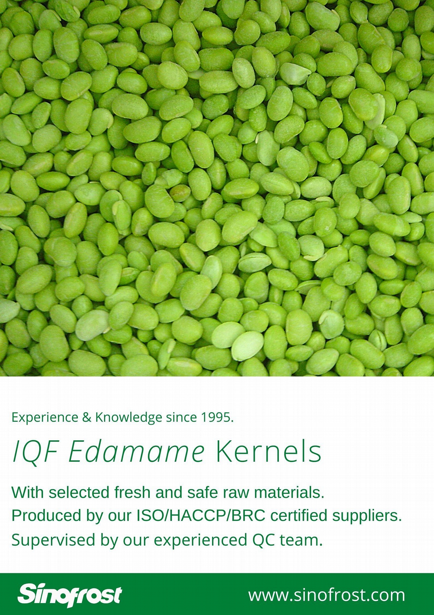 IQF Mukimame,IQF Shelled Edamame,IQF Green Soybean Kernerls - SFFV-MKMM ...