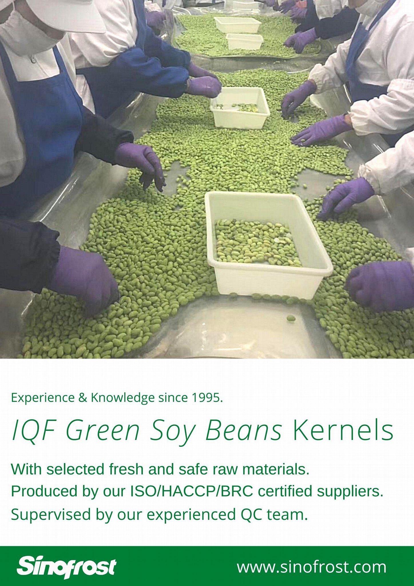 IQF Mukimame,IQF Shelled Edamame,IQF Green Soybean Kernels - SFFV-MKMM ...