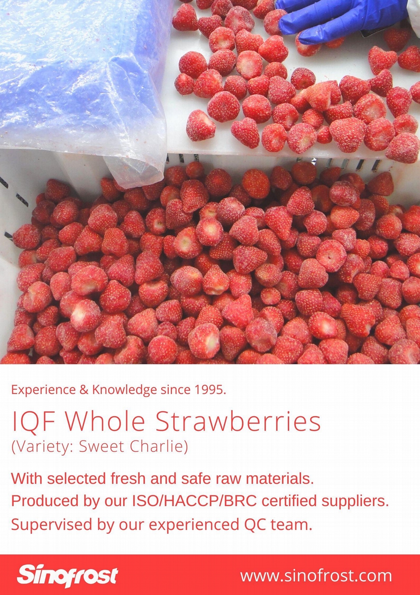 IQF Whole Strawberry,Frozen Strawberry Wholes,IQF strawberries ...