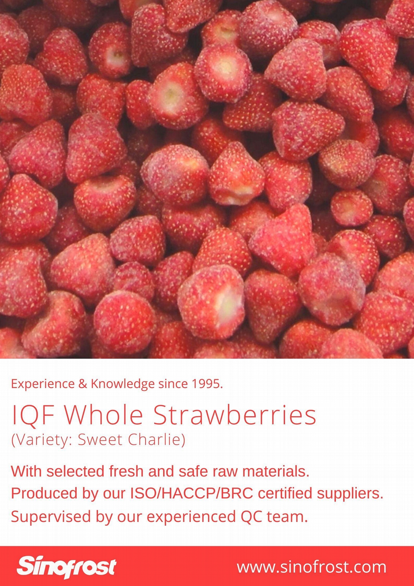 IQF Whole Strawberry,Frozen Strawberry Wholes,IQF strawberries ...
