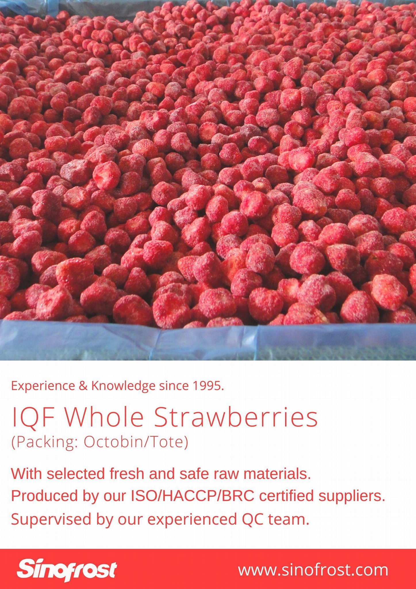 IQF Whole Strawberry,Frozen Strawberry Wholes,IQF strawberries ...