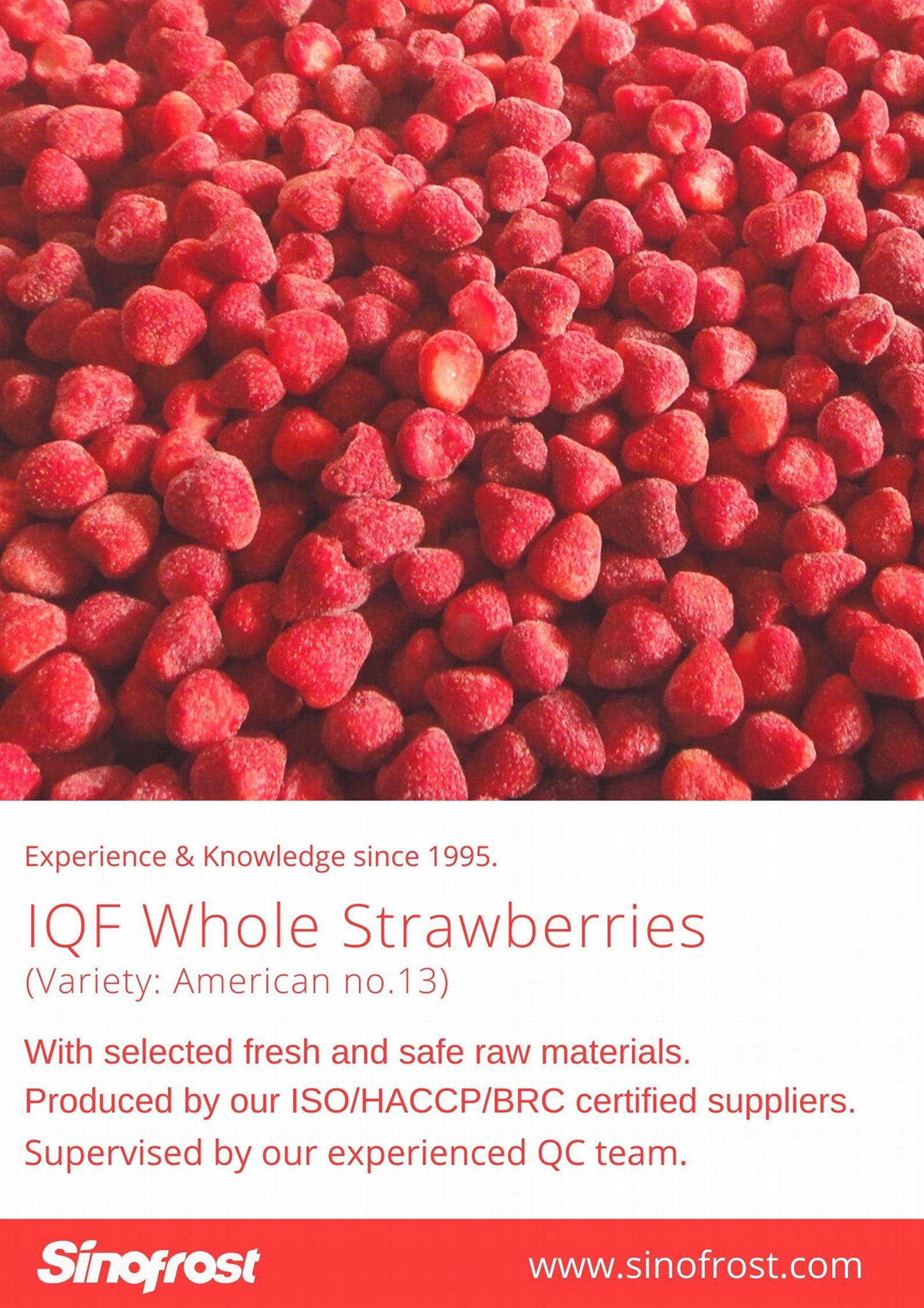 IQF Whole Strawberry,Frozen Strawberry Wholes,IQF strawberries ...