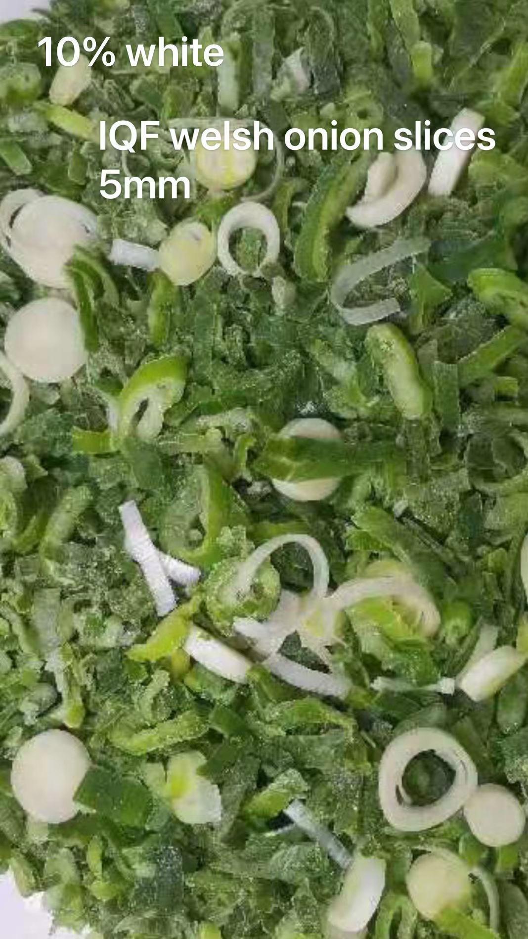 IQF Welsh Onion Slices,Frozen Welsh Onion Dices,IQF Welsh Onion Cuts ...
