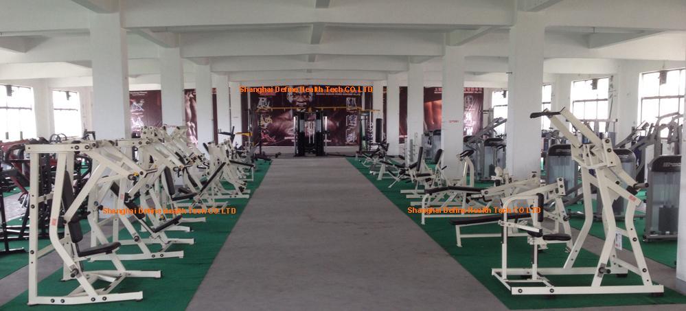 Hammer Strength,fitness equipment,bodybuilding,H-Squat-DHS-3042 ...