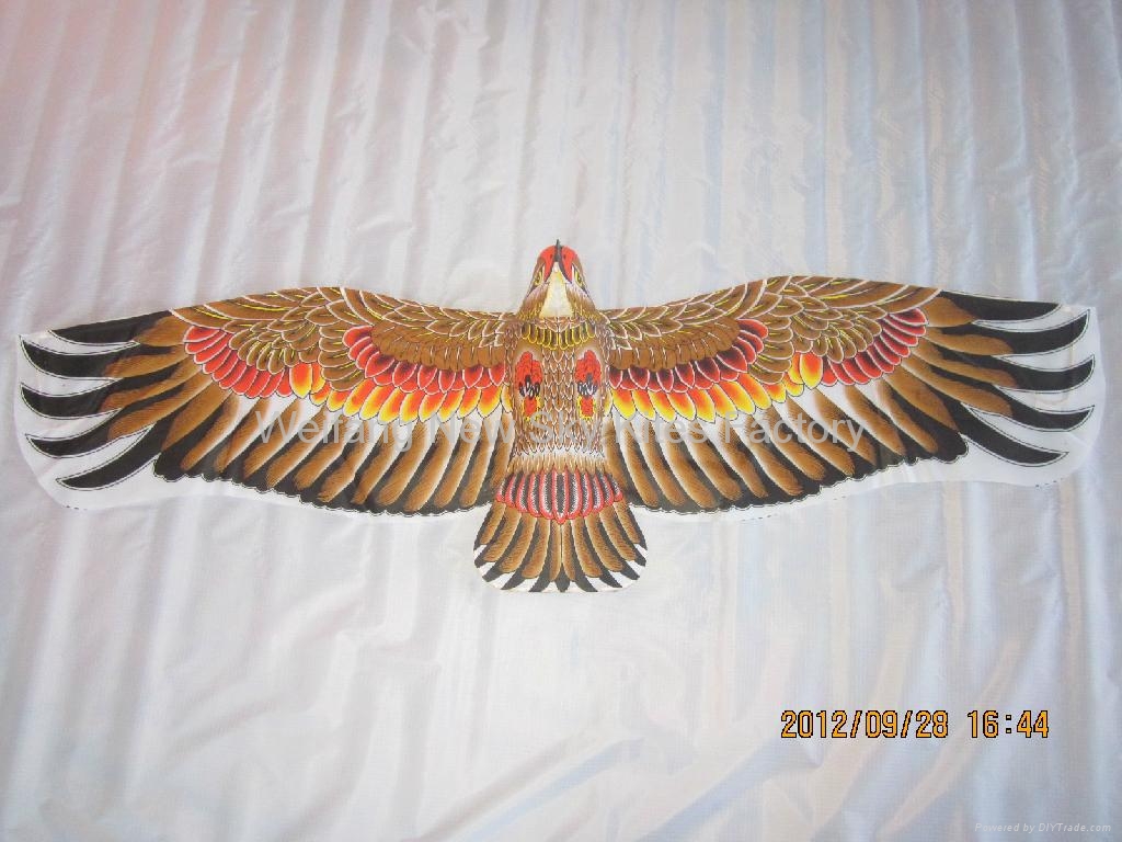 2021 Hawk kite - new sky (China Manufacturer) - Folk Crafts - Crafts ...