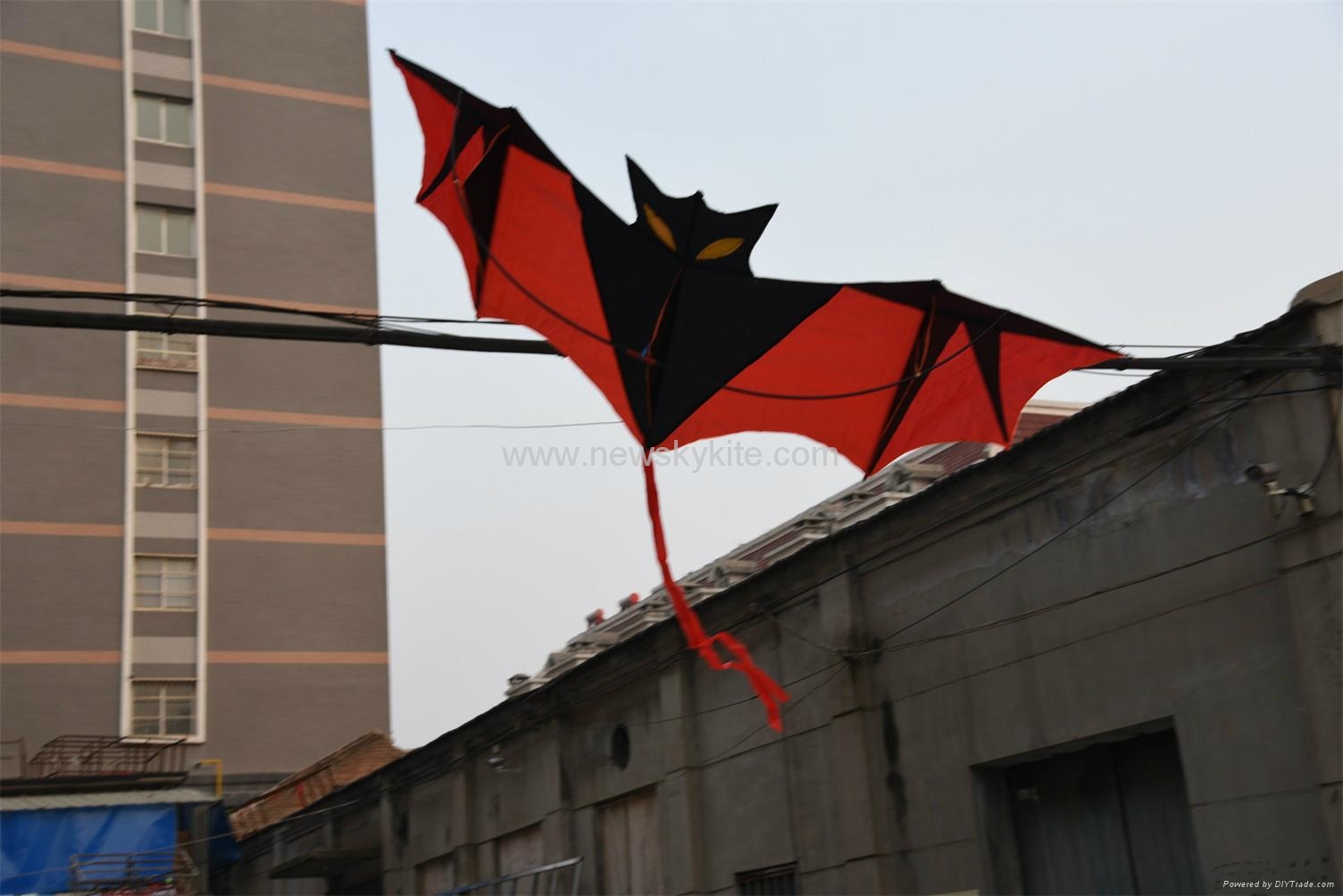 7025 Bat kite - China - Manufacturer - Modern Kites - Weifang New Sky
