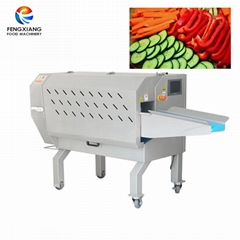 Professional vegetable, fruit and meat processing machine |Fengxiang