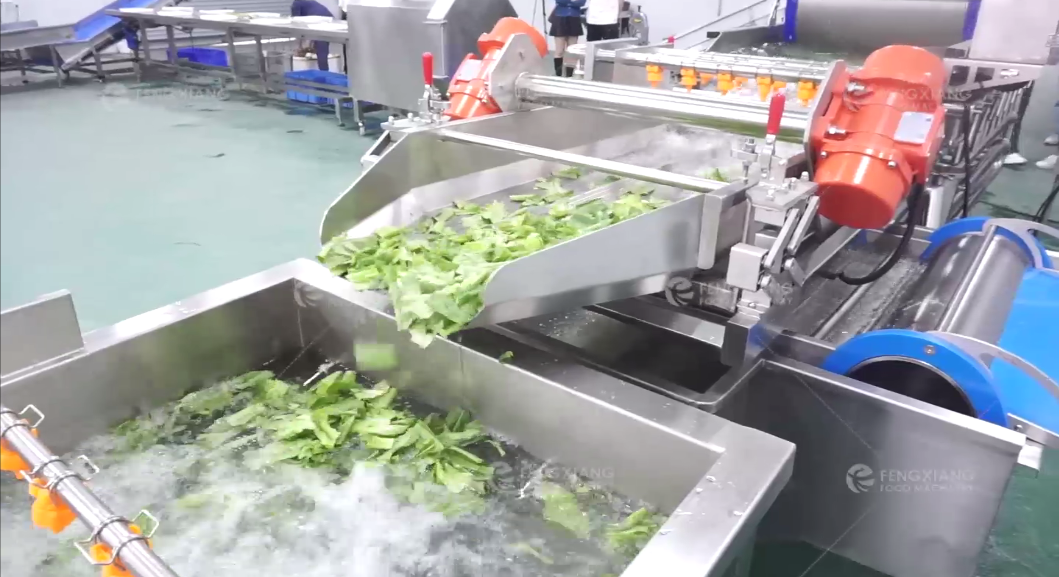 Spinach Vegetable Cutting Washing Blanching Line - 速冻菠菜前处理生产线 ...
