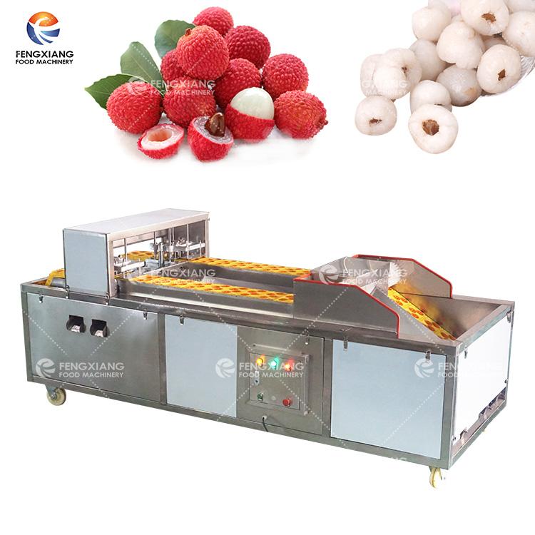 Litchi Pitting Machine Decoring Machine - 荔枝去核机 - FengXiang (China ...