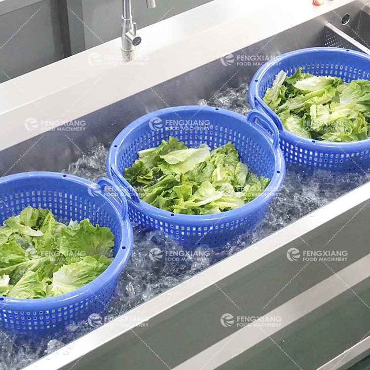 Ultrasonic Cleaning Machine Lettuce, strawberry and grape washing ...