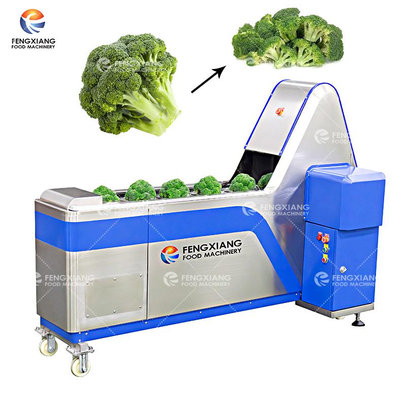 Automatic Broccoli Floretting Machine Broccoli Cutting Machine - China