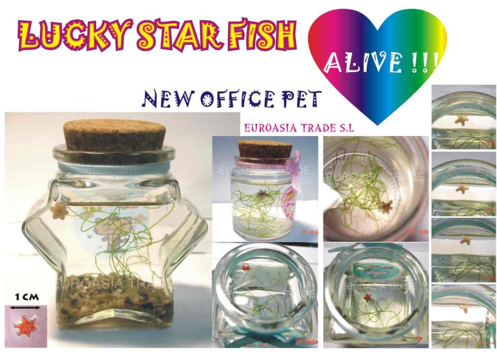 Lucky Star Fish (Taiwan Manufacturer) - Live Animals - Agricultural ...
