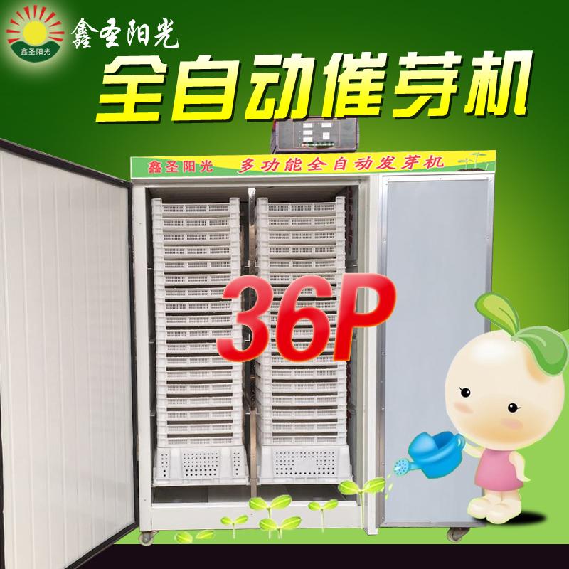 Turnip Sprouts pea sprouts of Toona sinensis seed germination machine ...