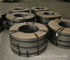 Cold Rolled Steel Strips Grade S45C S50C S55C - India - Trading