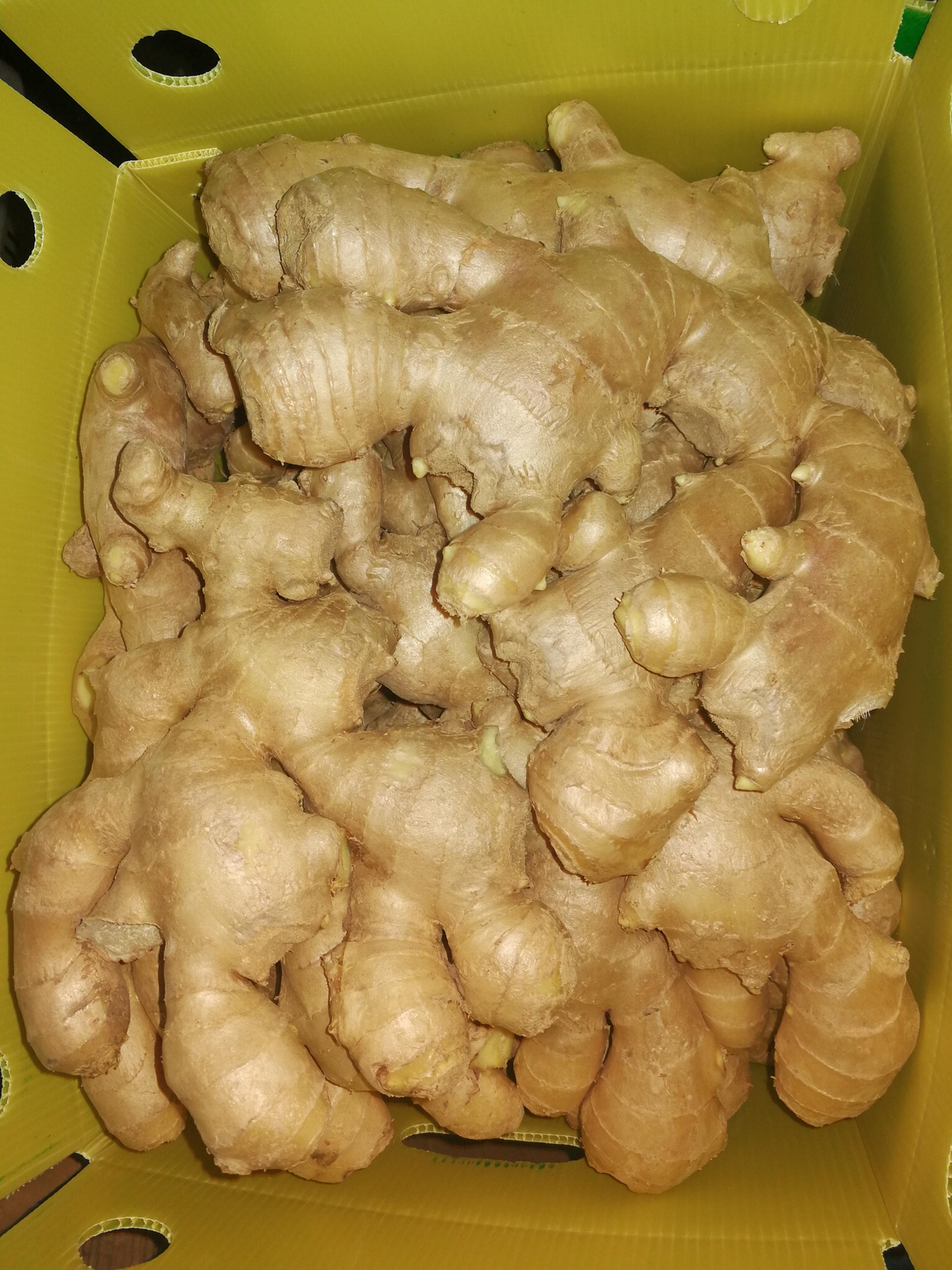 Chinese Jumbo Fresh Ginger - 300g+ - a-best (China Manufacturer ...