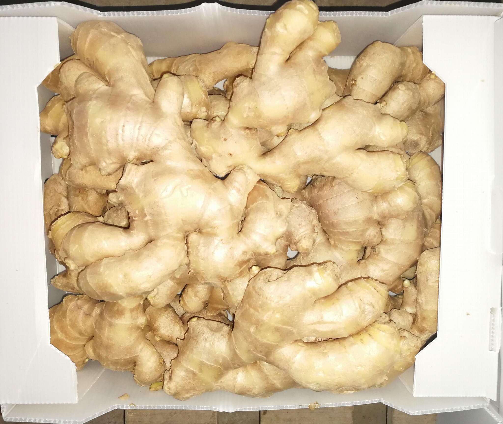 2024 Jumbo Air dried Ginger - 300g+ - a-best (China Manufacturer ...