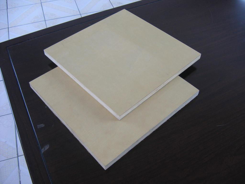 HDO/MDO - titan20080601 - Titan Globe (China Manufacturer) - Timber ...