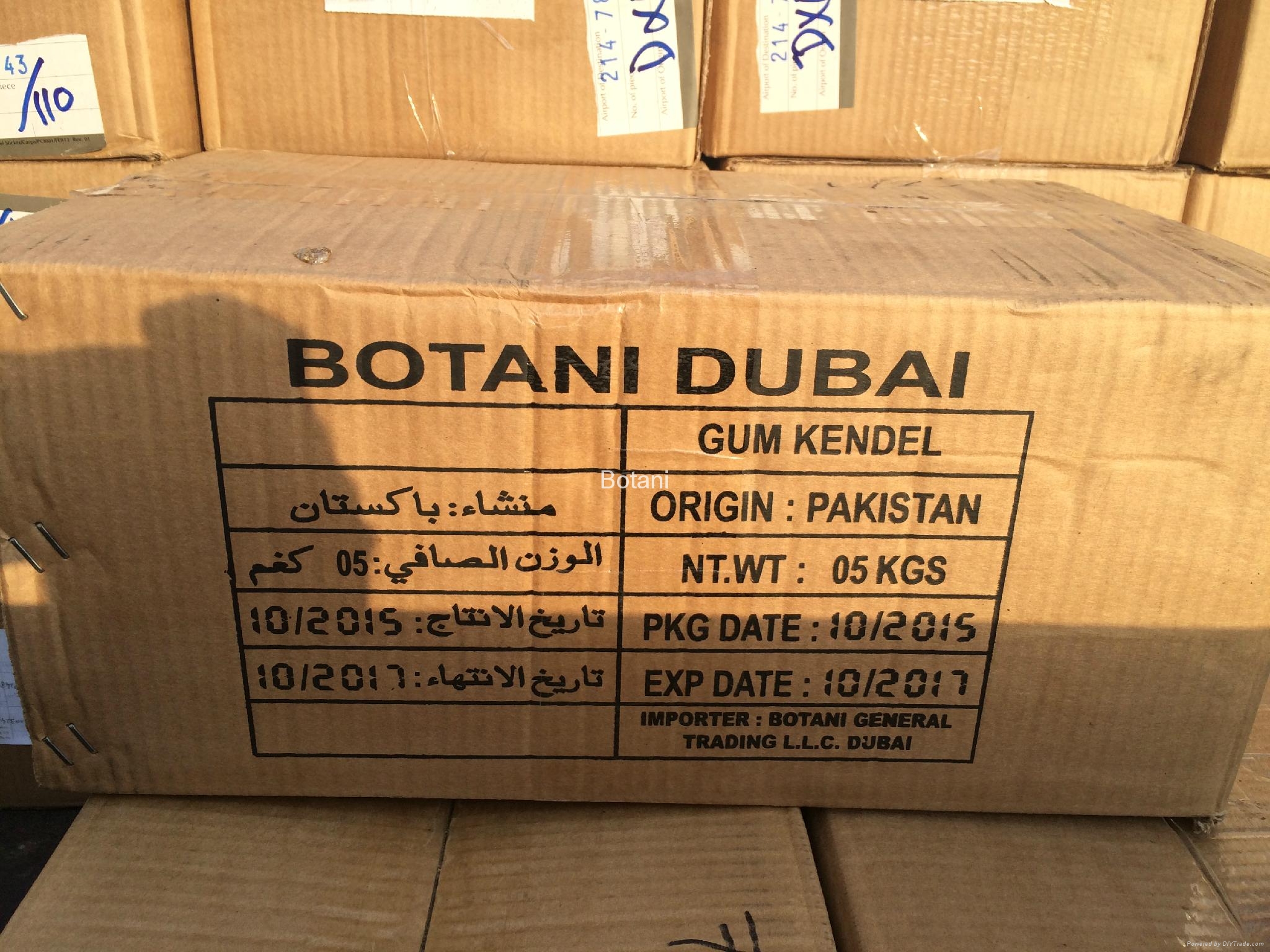 Gum Ammoniac- Afghanistan - Grade 1 - Botani (United Arab Emirates ...