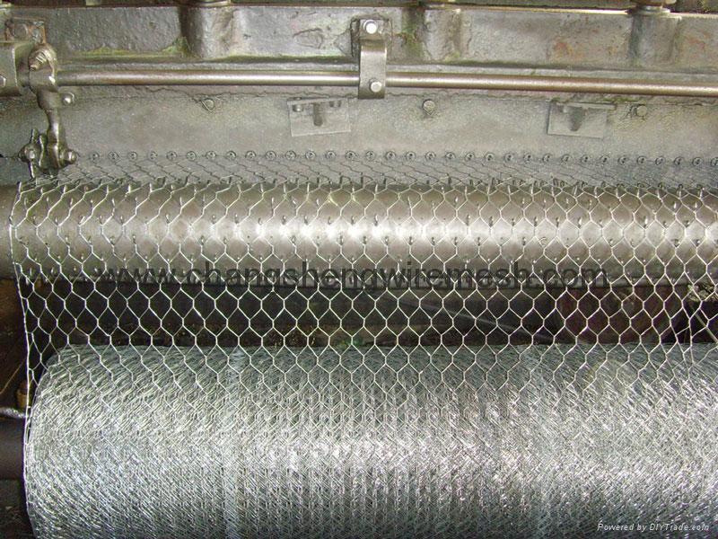 Galvanized Hexagonal Wire Mesh - HM-02 - FLS (China Manufacturer ...