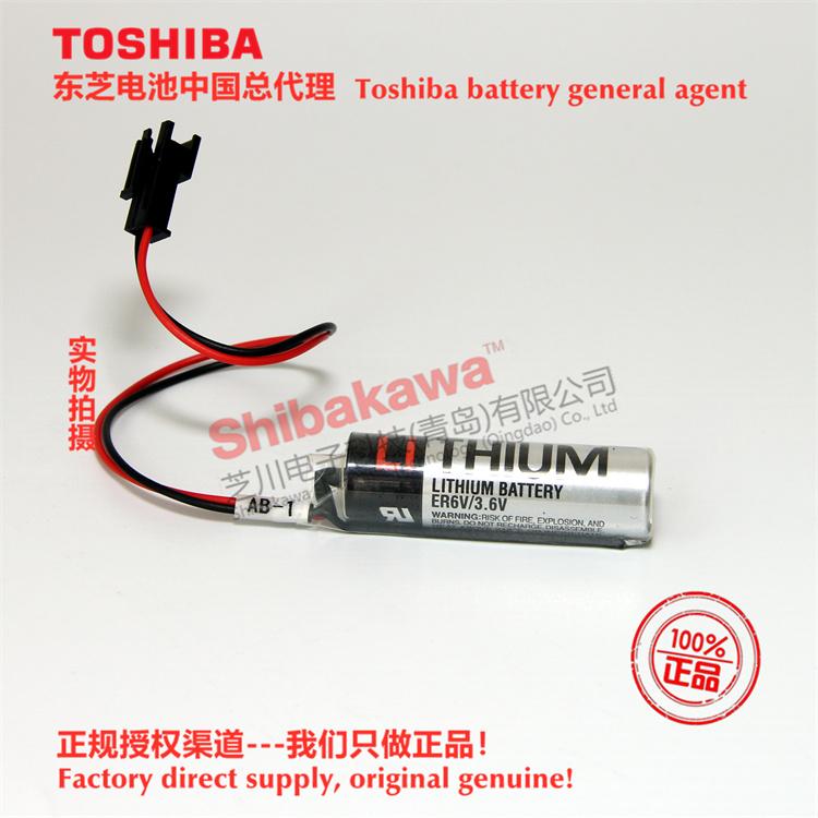 AB-1 IAI robot controller battery Toshiba ER6V/3.6V with connector - AB ...