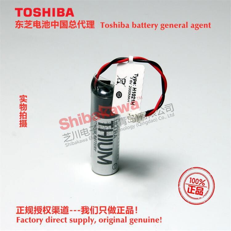 H1021H Fuji FUJI NXT battery H04/H08/H12 battery Toshiba ER6V lithium battery - H1021H ER6V ...