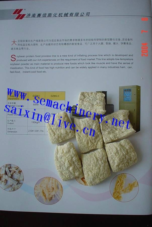 Soya N ets Machine - DZ series - saixin machinery (China Manufacturer ...