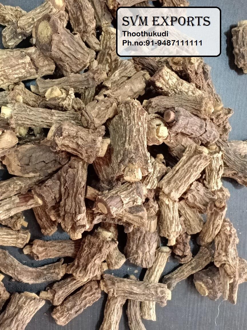 SARSAPARILLA ROOT - SVM0039 - SVM NATURALS AND SUPPLIERS (India ...
