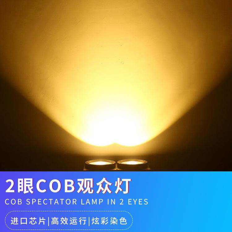 200W two-eye audience light - V-LP43 - vesitian (China Manufacturer ...