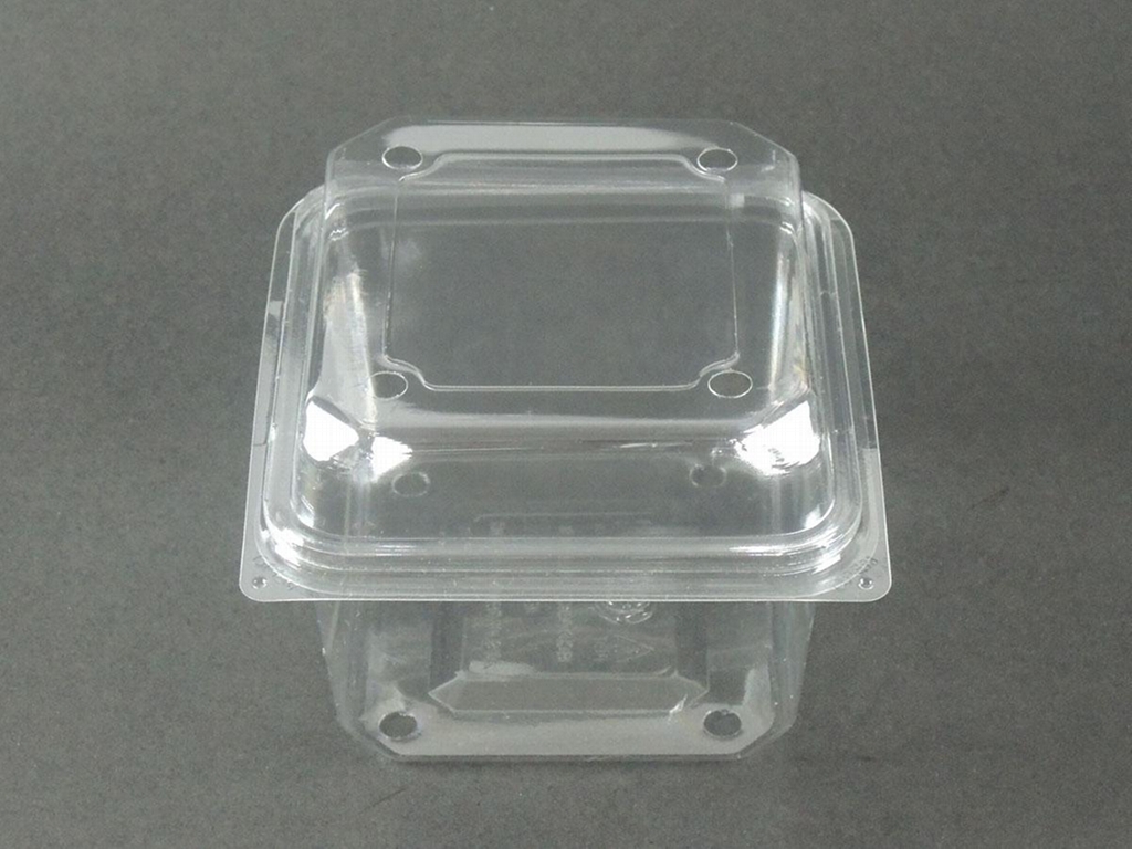Plastic Sprouting Containers - N-255 - yicktak (China Manufacturer ...
