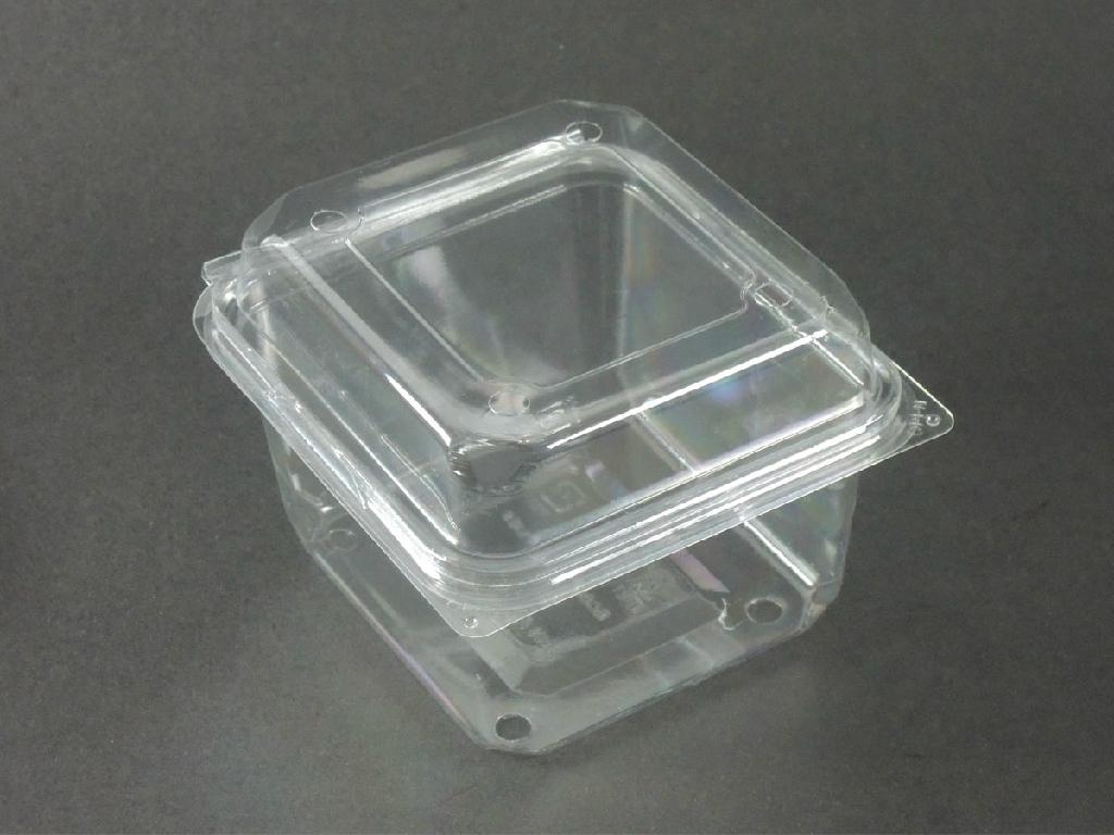 Plastic Sprouting Containers - N-255 - yicktak (China Manufacturer ...