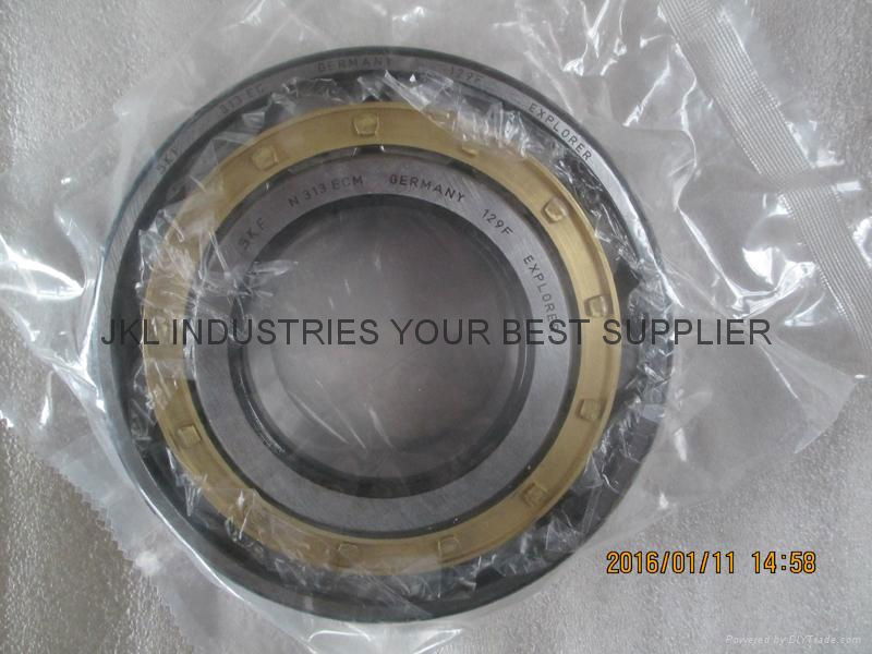 SKF N313 ECM Cylindrical Roller Bearings - ETR ,JKL, SKF, FAG, INA ...